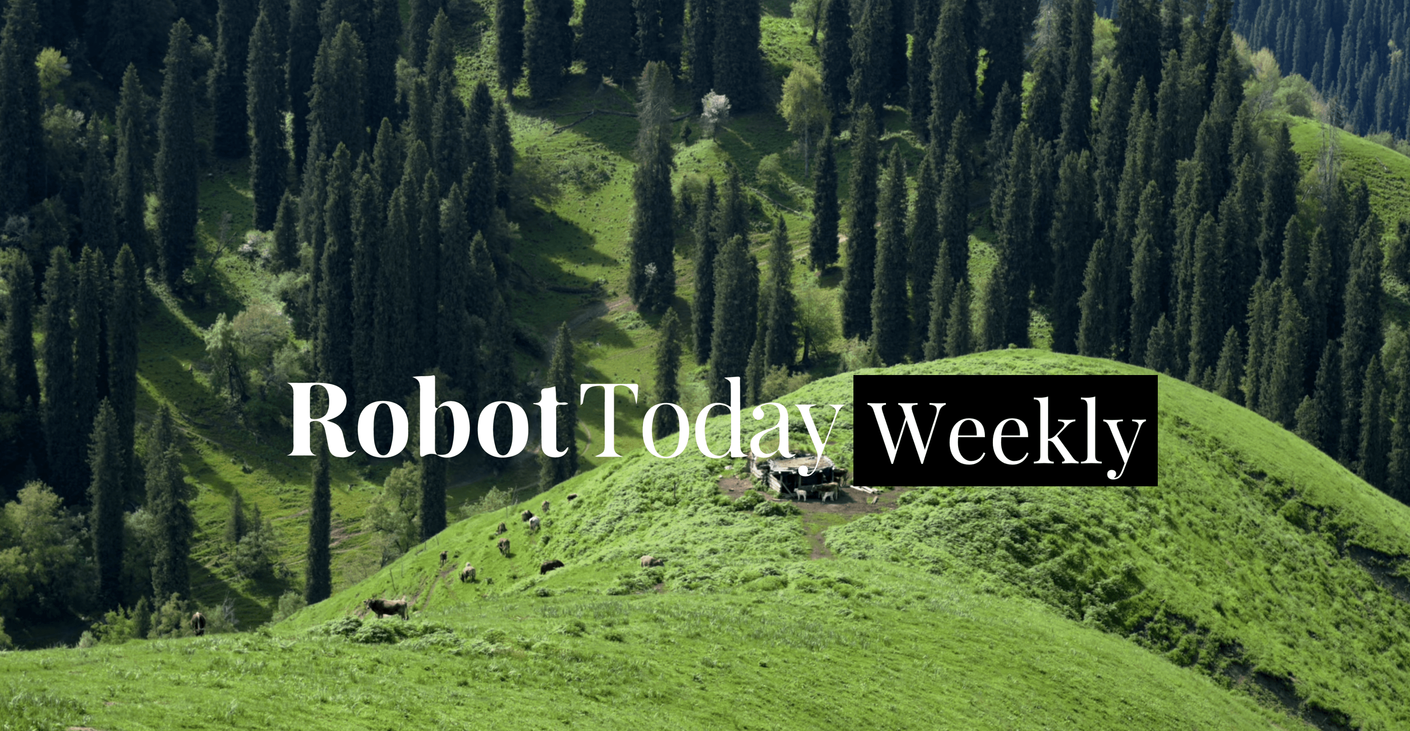 Meta Acquires ARI to Capture the Brain of the Humanoid Robot - RobotToday