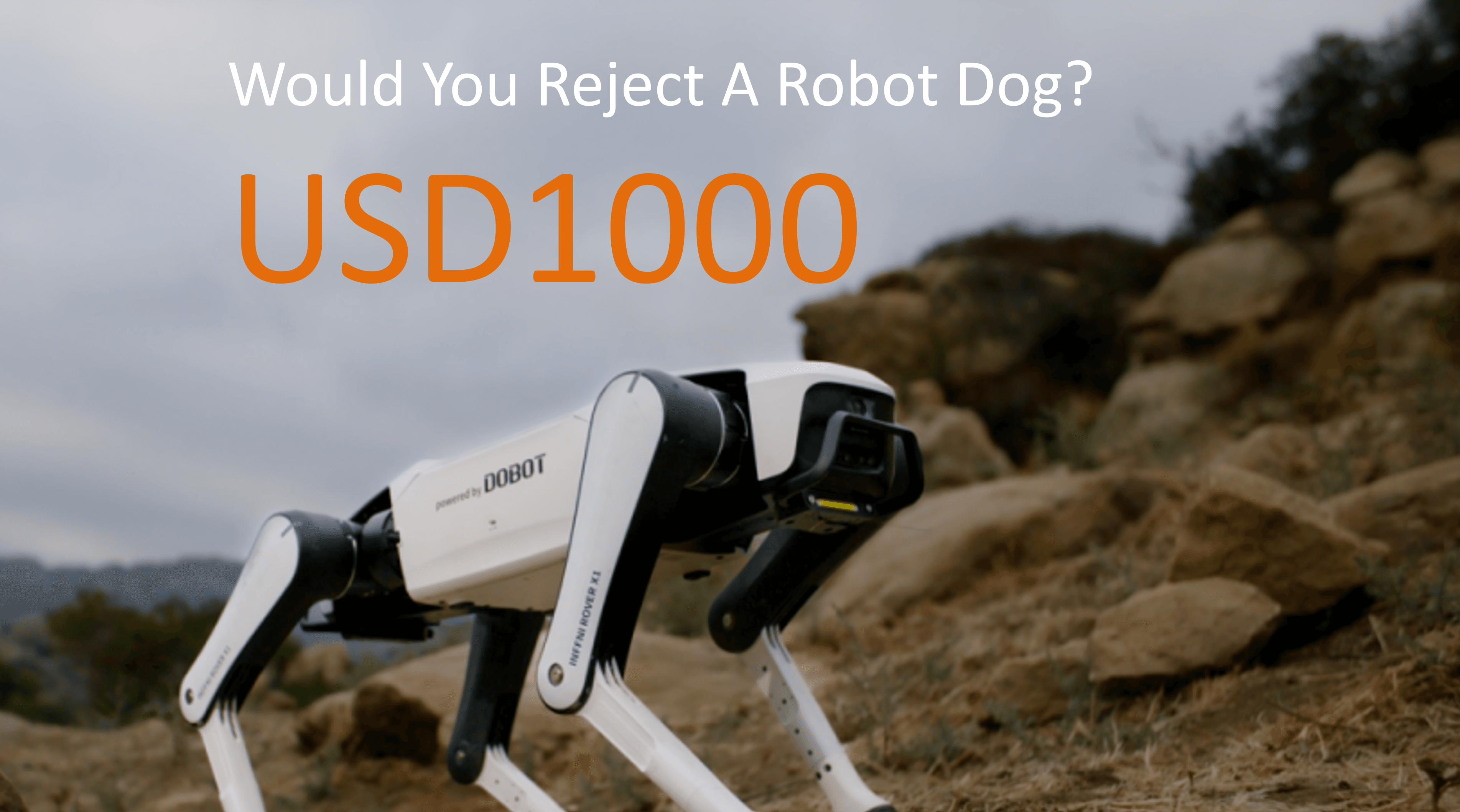 Dobot Launches Rover X1: The $1,000 Embodied AI Robot That Brings ...