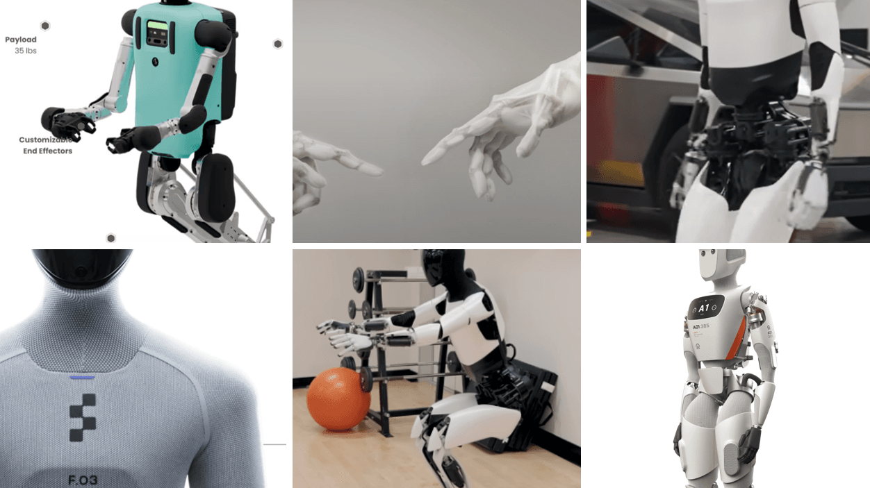 Contrasting the Development Directions of Top Global Humanoid Robot ...