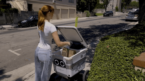 Serve Robotics FY2025: Scaling Sidewalk Delivery Robots Toward