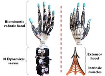 How Mimic Robotics is Bringing Physical AI to Dexterous Manipulation ...